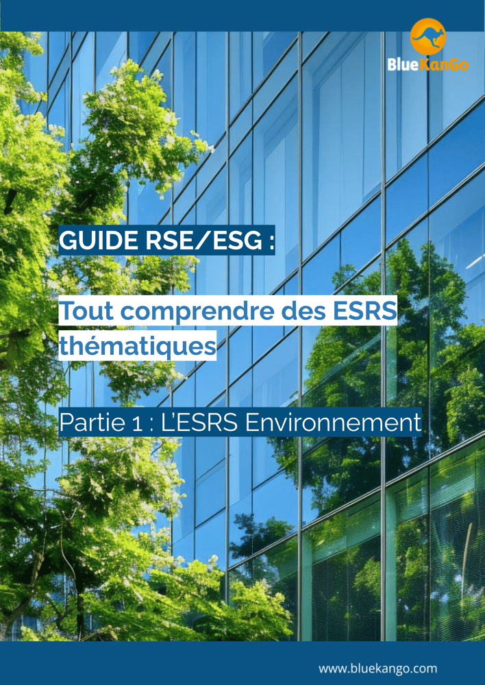 Guide RSE/ESG Tout comprendre des ESRS thématiques